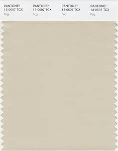 PANTONE Smart 13-0607X Color Swatch Card, Fog - House Paint - Amazon.com
