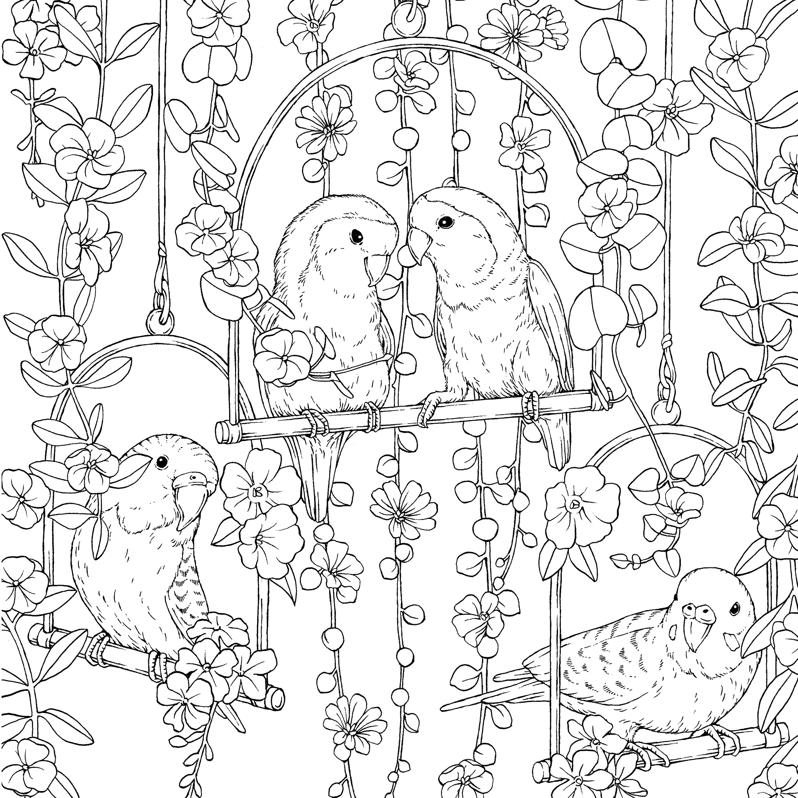 Mua Symphony of Cute Animals: A Curious Coloring Book Adventure (Design ...