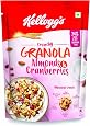 Kellogg's Crunchy Granola Almonds and Cranberries 460g: Amazon.in ...