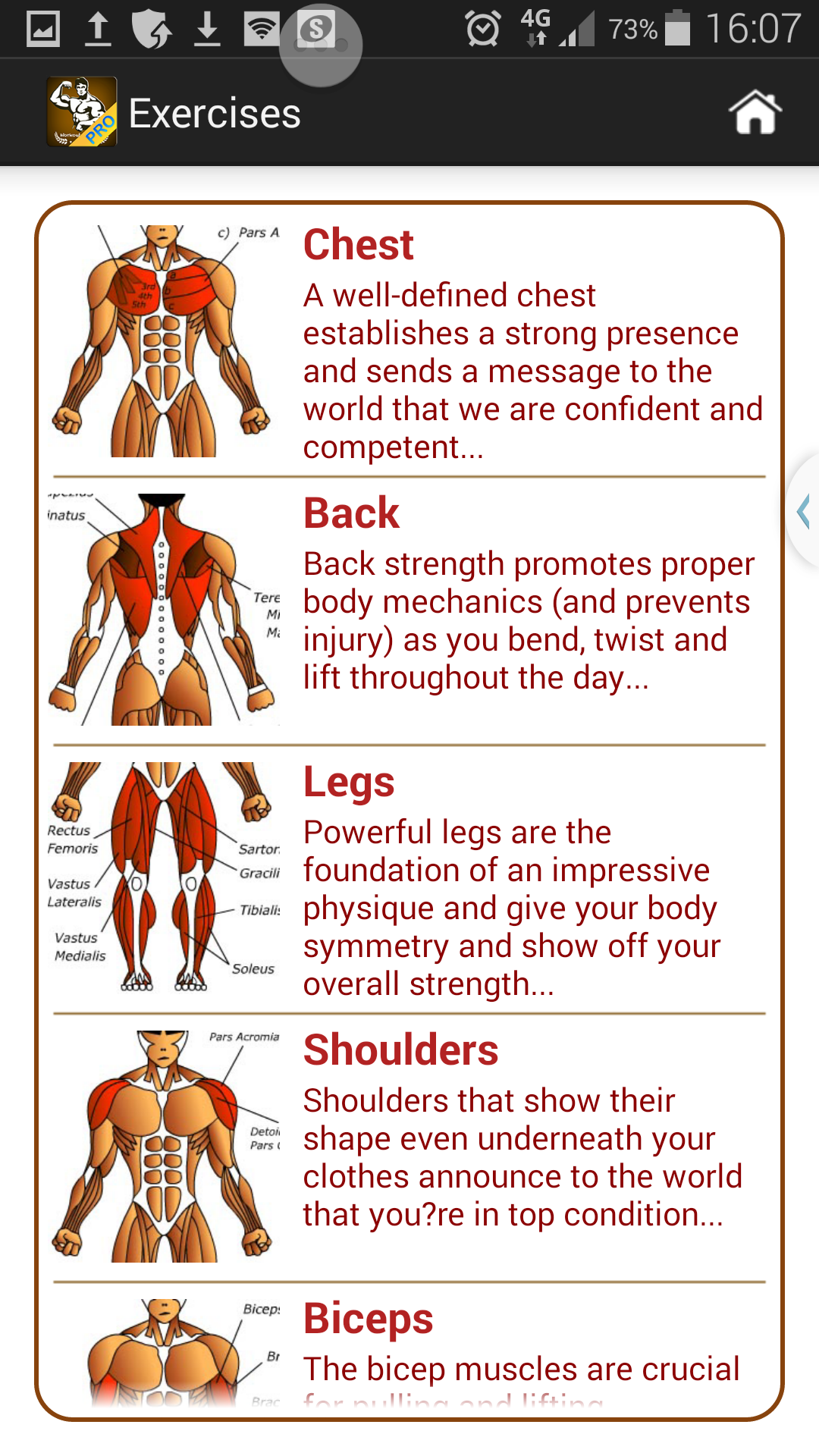 Dream Body Workout Plan FREE:Amazon.com:Appstore for Android