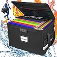Amazon.com: Fireproof Document Box with Lock: Waterproof File Organizer ...