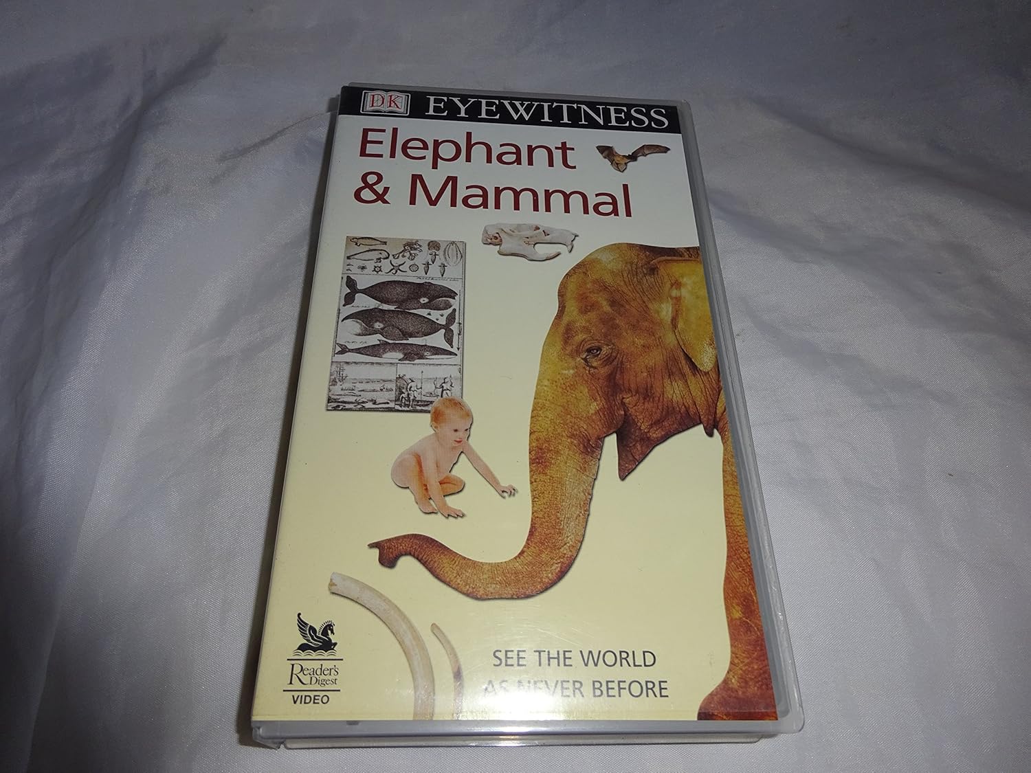 Eyewitness: Elephant & Mammal [VHS]: Amazon.co.uk: Video