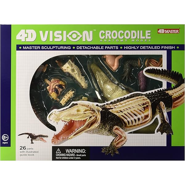 Belk 4D Vision Full Skeleton Dog Model The Summit