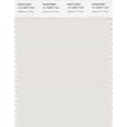 PANTONE Smart 12-4302X Color Swatch Card, Vaporous Gray - House Paint ...