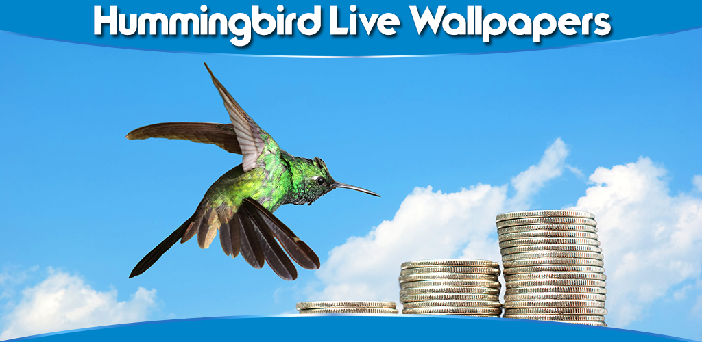 Hummingbird Live Wallpapers:Amazon.com:Appstore for Android