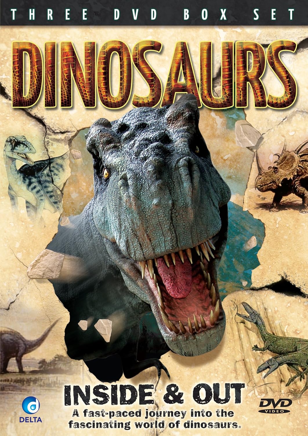 Dinosaurs Inside & Out [DVD]: Amazon.co.uk: DVD & Blu-ray