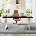 Amazon.com: Tribesigns Modern Computer Desk, 63 x 31.5 inch Large ...
