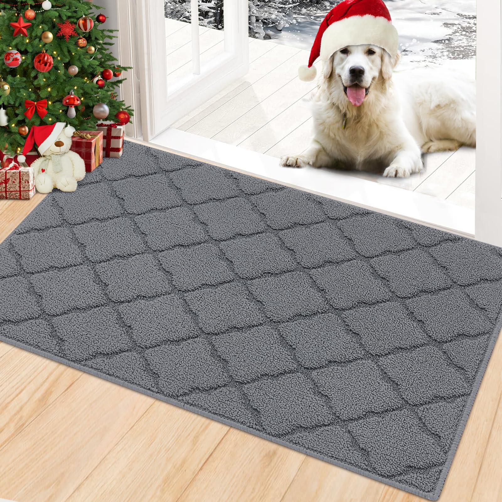 Timo Indoor Doormat, Front Door Mat 20"x32" Absorbent Rubber Backing ...