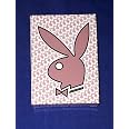 Amazon.com: JLS Playing Cards Playboy 80s Deck Pin-up : Toys & Games