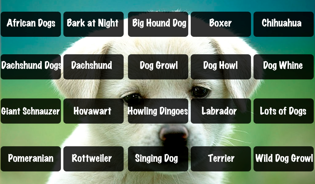 Dog Soundboard:Amazon.com:Appstore for Android