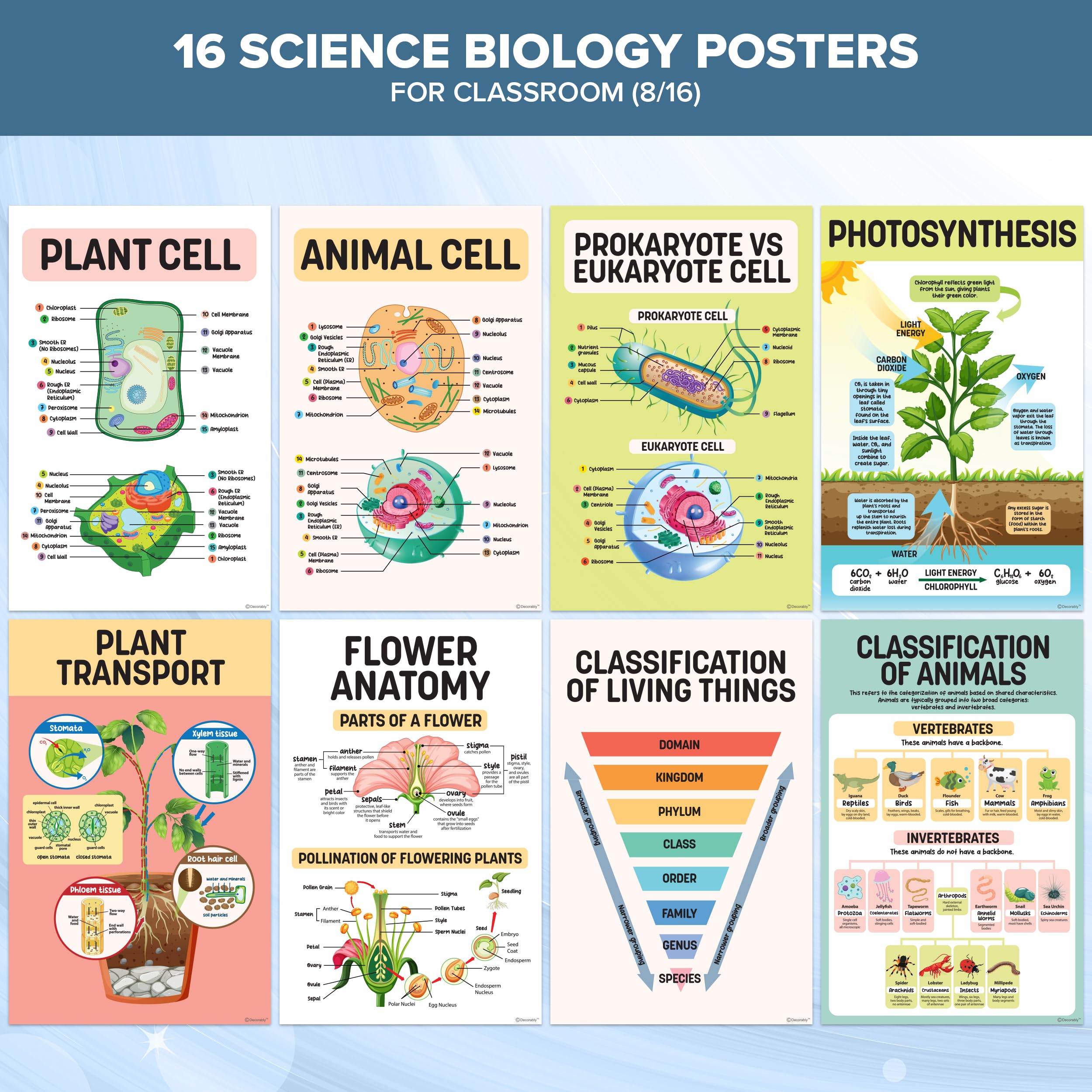 Mua 16 Science Posters for Classroom Middle School - 11x17in Biology ...