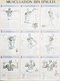 Amazon.fr - Poster bodybuilding anatomie - Frédéric Delavier - Livres