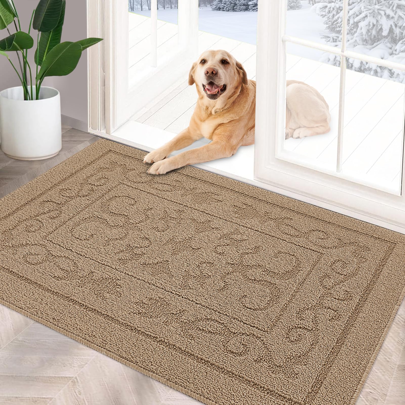 FONEYI Indoor Doormat, Front Back Door Mat 32