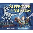 Sleepover at the Museum: LeFrak, Karen, Bucs, David: 9781524771409 ...