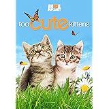 Amazon.com: Too Cute Puppies : Puppies, Animal Planet: Movies & TV