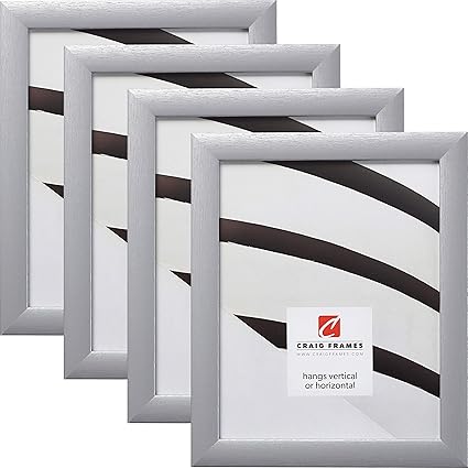 Amazon.com - Craig Frames 23247018 16 x 20 Inch Picture Frame, Brushed ...