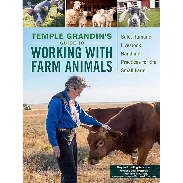 Machine à Presser Temple Grandin Pour Bétail