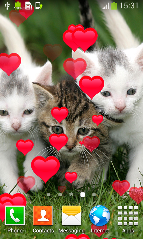 Cute Cats Live Wallpapers:Amazon.com:Appstore for Android