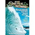 Amazon.com: Tsunamis and Other Natural Disasters: A Nonfiction ...