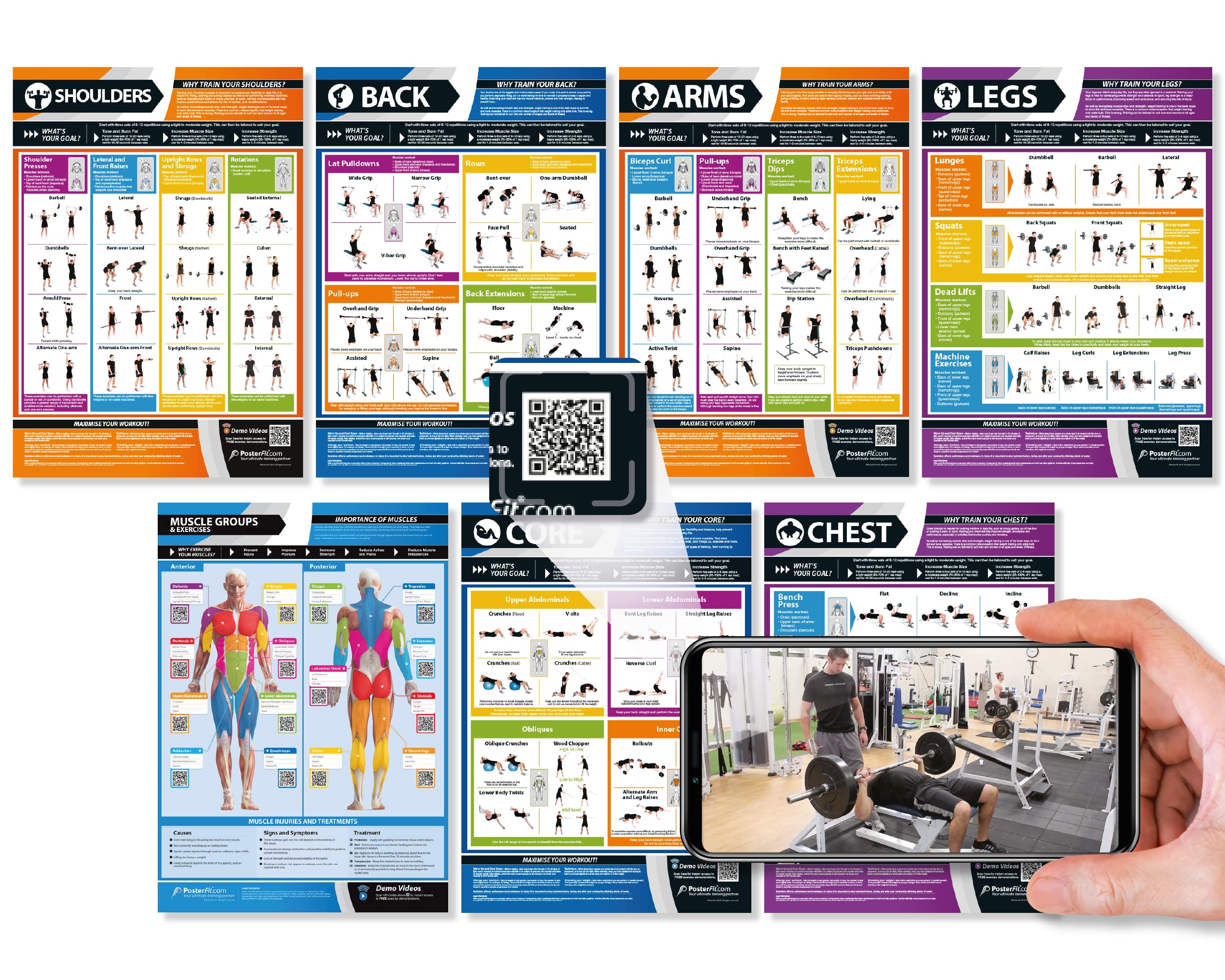 Muscle Groups & Exercise Poster for Home Gym Decor – Extra Large 33” x ...