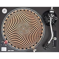 Top 10 Best Turntable Mat and Slipmats Reviews in 2020