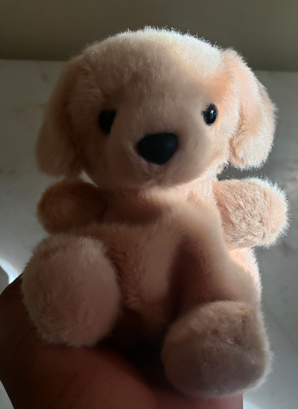 Palm Pals - SUNNY LAB - Pet Collection