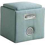 Amazon.com: Furniture of America Uptempo Padded Flax Storage Ottoman ...
