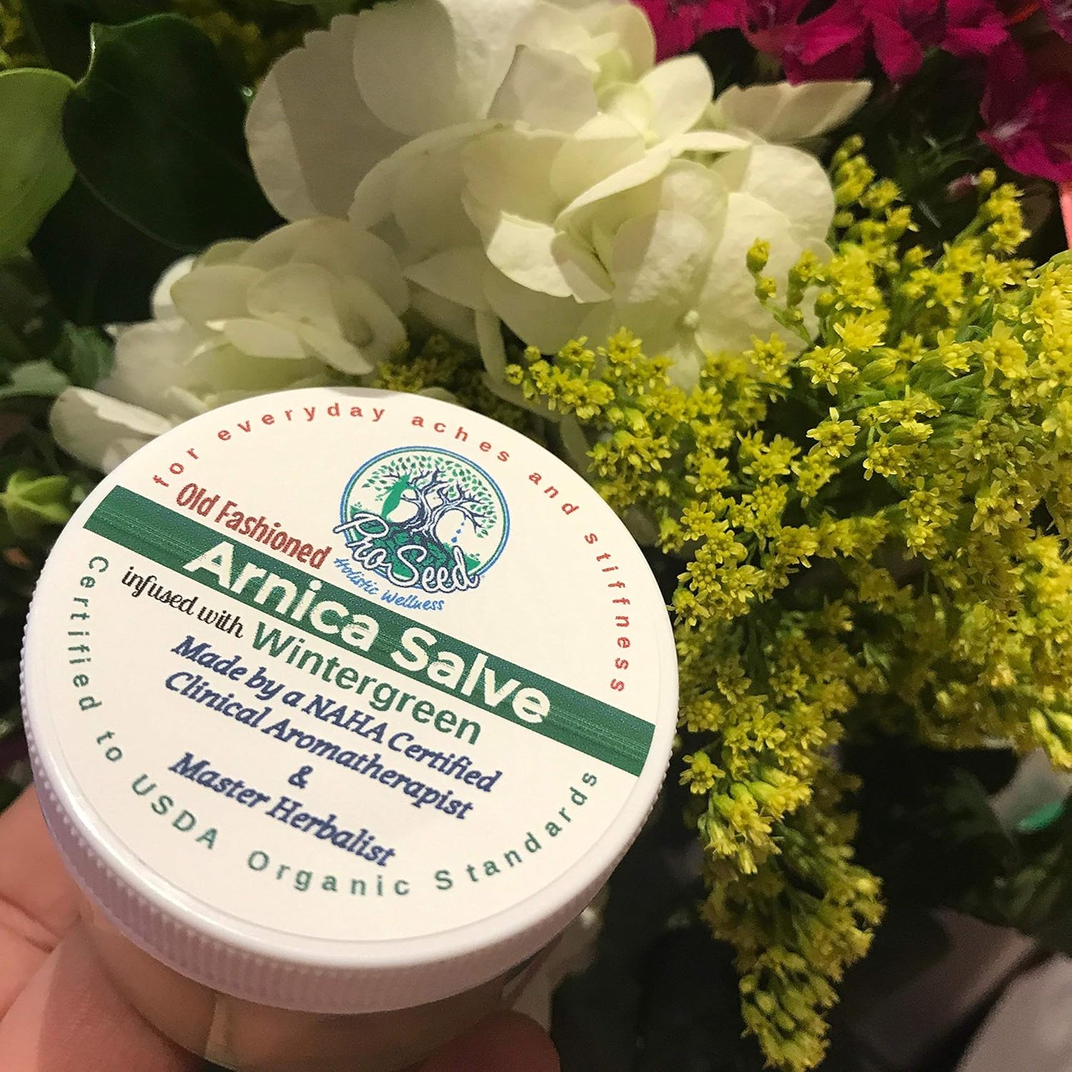 Amazon.com: Organic Old Fashioned Arnica Salve for everyday aches and ...