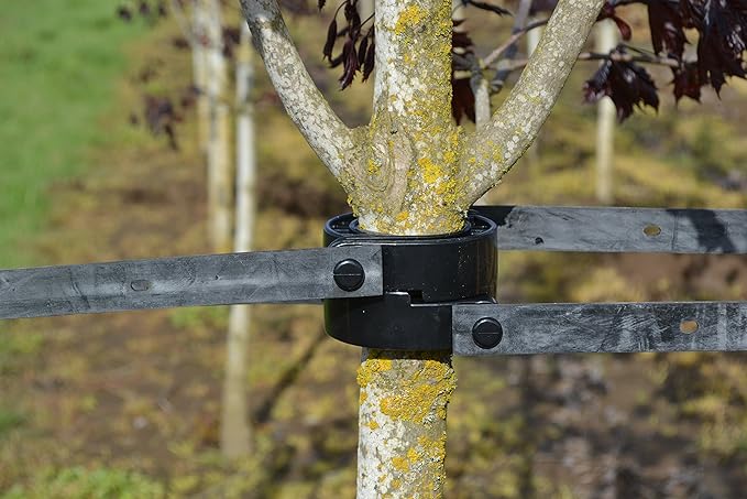 Amazon.com : Tree Hugger The Professional Tree Staking Kit (Stakes Not ...