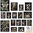 Amazon.com: 97 Decor 16 Pcs Dark Cottagecore Decor - Large Cottage Core ...