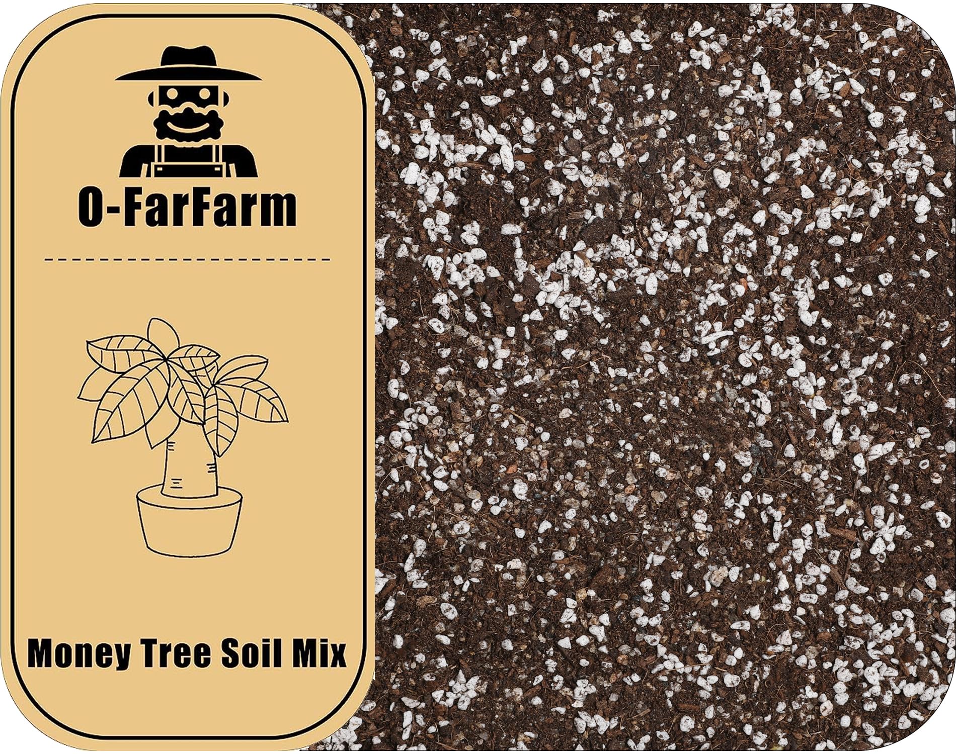 O-FarFarm Money Tree Soil Mix 1qt, Indoor Potting Soil for House Plants ...
