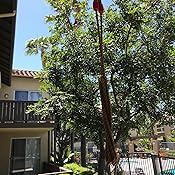 Amazon.com: Tree Swing Ropes Hammock Chair Straps hanging Kit with 2 ...