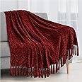 Amazon.com: PAVILIA Burgundy Red Chenille Throw Blanket for Couch Twin ...