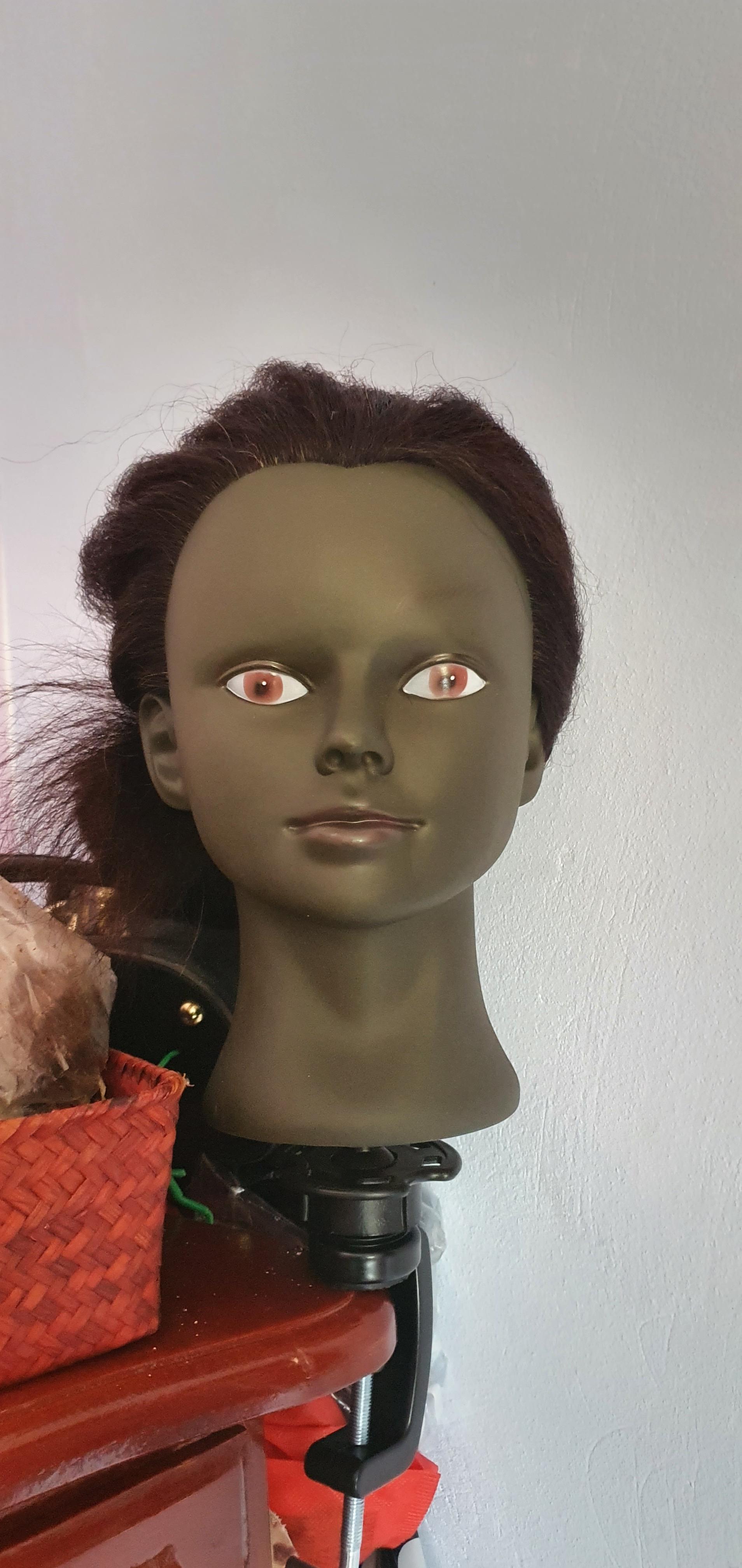 $6/mo - Finance LuAiJa 100% Real Hair Mannequin Head Hairdresser ...