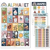 Amazon.com : Hadley Designs Alphabet, Count 1-100 Numbers, Colors, 2D ...