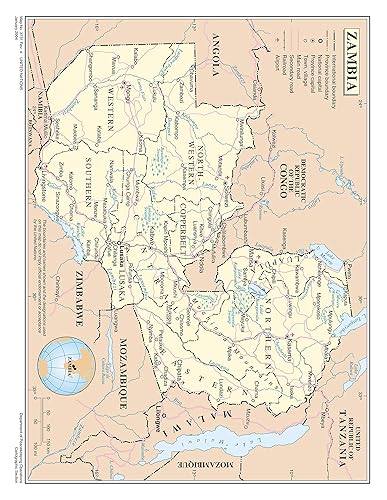 Palmetto Posters 24x31 Laminated Poster: Large detailed political and ...