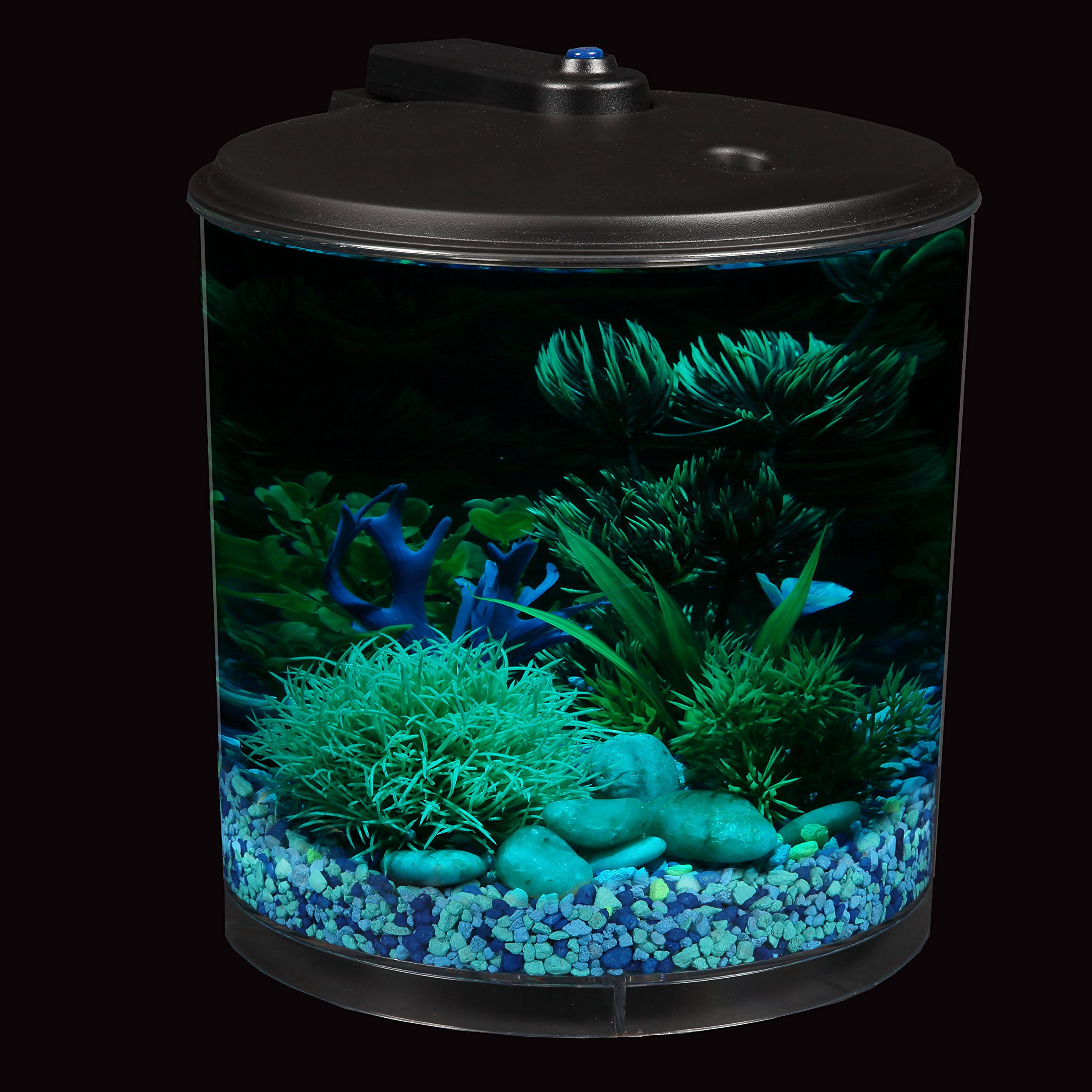Koller Products AquaView 2-Gallon 360 Aquarium with Power Filter & LED ...