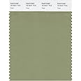 PANTONE Smart 16-0421X Color Swatch Card, Sage - House Paint - Amazon.com