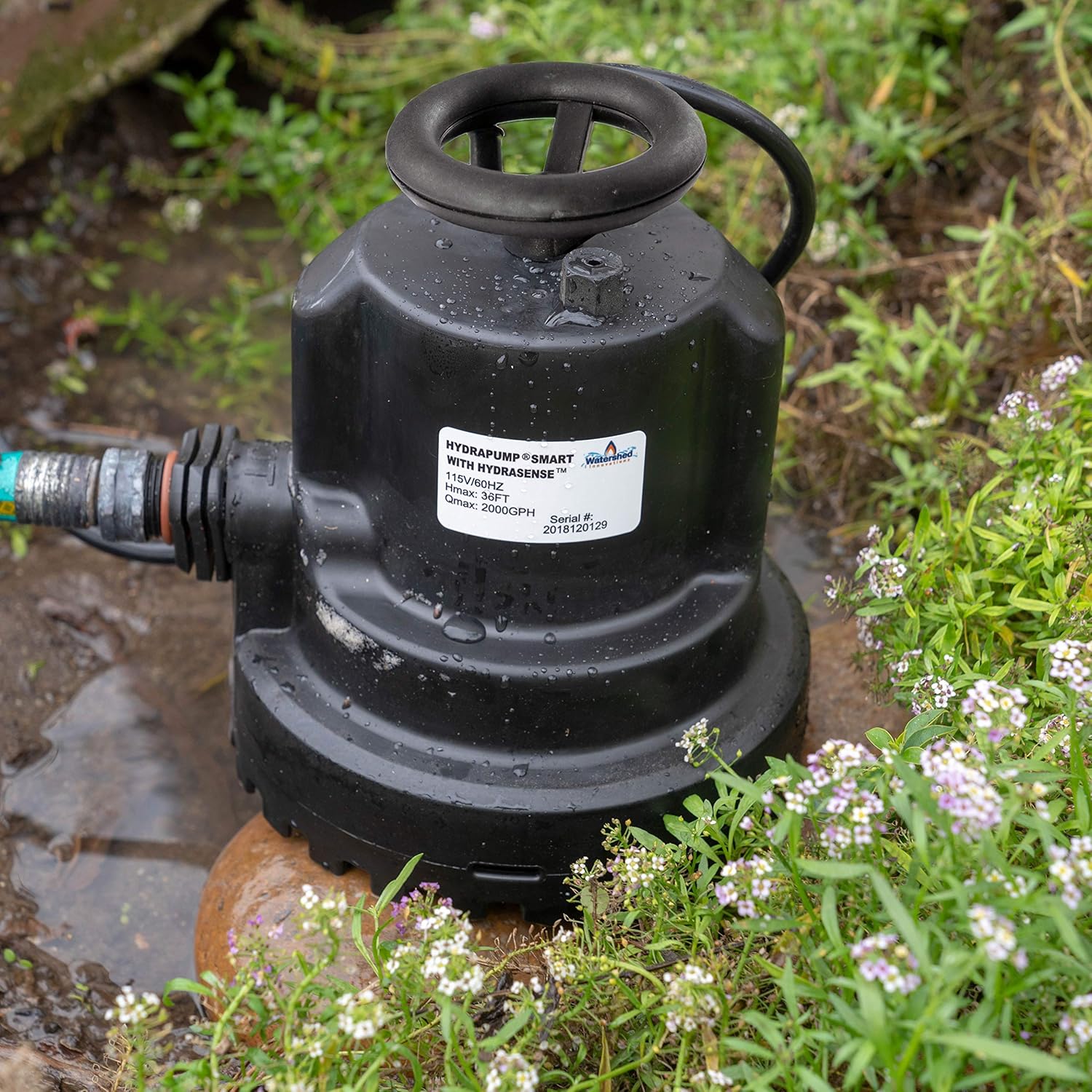 Power Water Pumps Water Pump with HydraSense technology for automatic ...