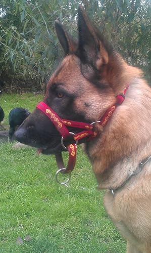 DOGMATIC HEADCOLLAR PADDED CUSHIONED WEBBING PCW DM ADJ Size 3L Red ...