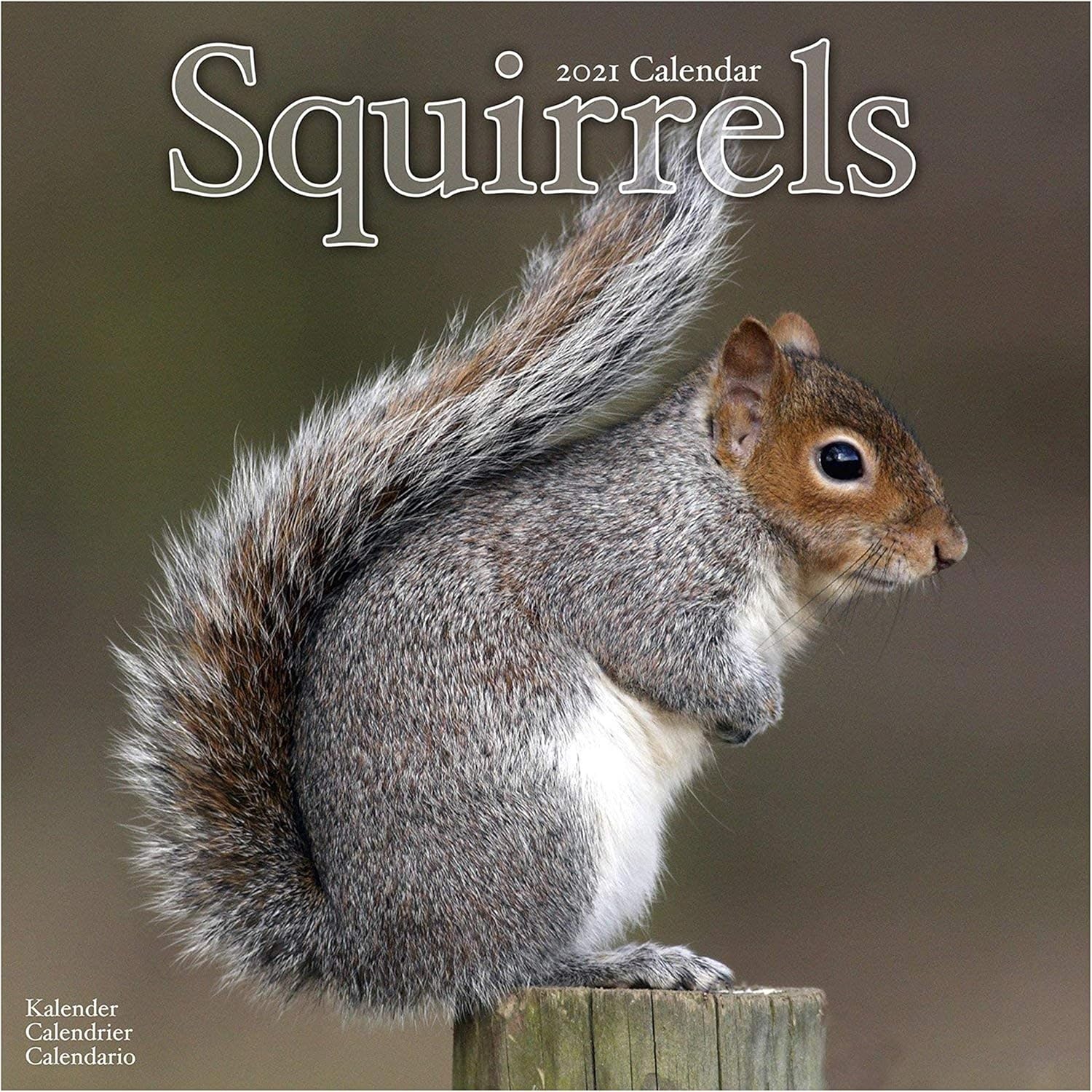 Squirrels Calendar 2021 | Square Wall Calendar | 16 Month | with ...
