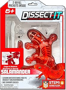 Amazon.com: Dissect-It Simulated Synthetic Lab Dissection STEM Toy ...