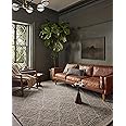 Amazon.com: Loloi Magnolia Home by Joanna Gaines Jones Collection JON ...