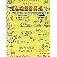 Amazon.com: Algebra 1: A Teaching Textbook: 9780974903620: greg-and ...