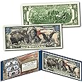 Amazon.com: Americana Images Buffalo Bison Black Eagle Native American ...