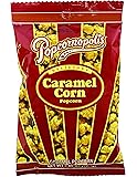 Amazon.com: Popcornopolis Gourmet Zebra Chocolate Popcorn, 11-Ounce ...