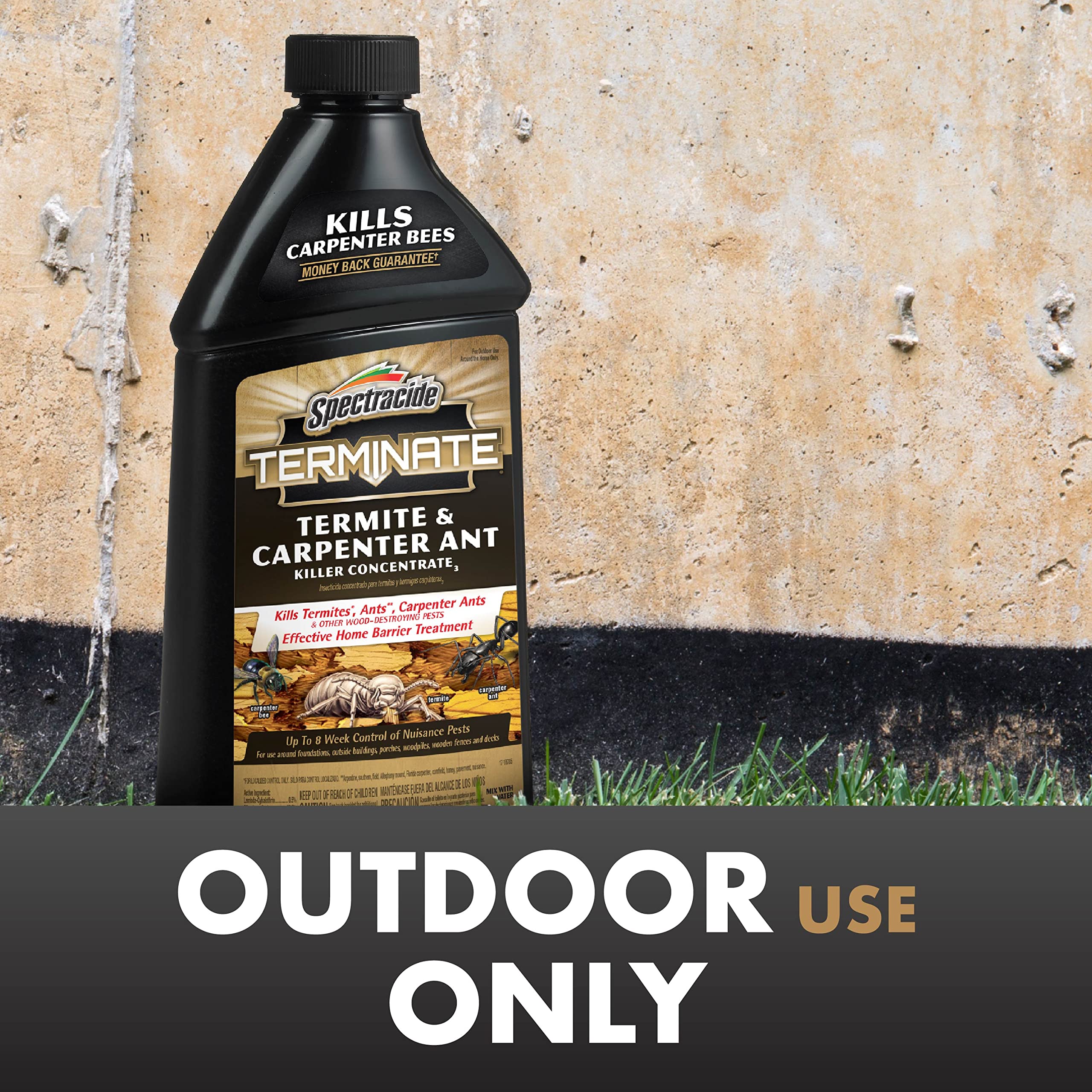 Mua Spectracide Terminate Termite & Carpenter Ant Killer Concentrate ...