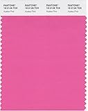 PANTONE SMART 18-2436X Color Swatch Card, Fuchsia Purple - House Paint ...