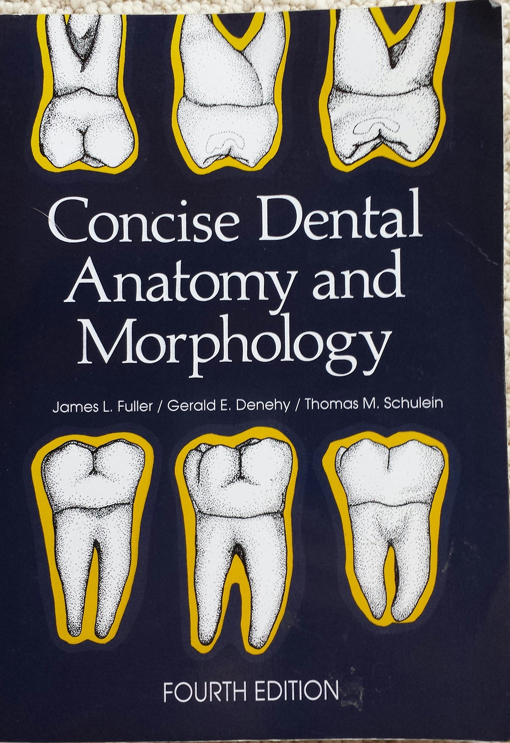Mua Concise Dental Anatomy and Morphology trên Amazon Mỹ chính hãng ...