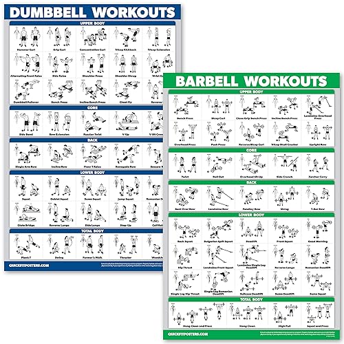 Palace Learning QuickFit Dumbbell Workouts and Barbell Exercise Poster ...